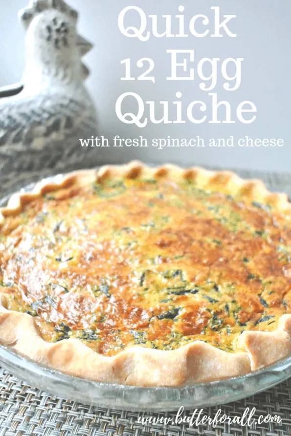 how long to bake an egg quiche