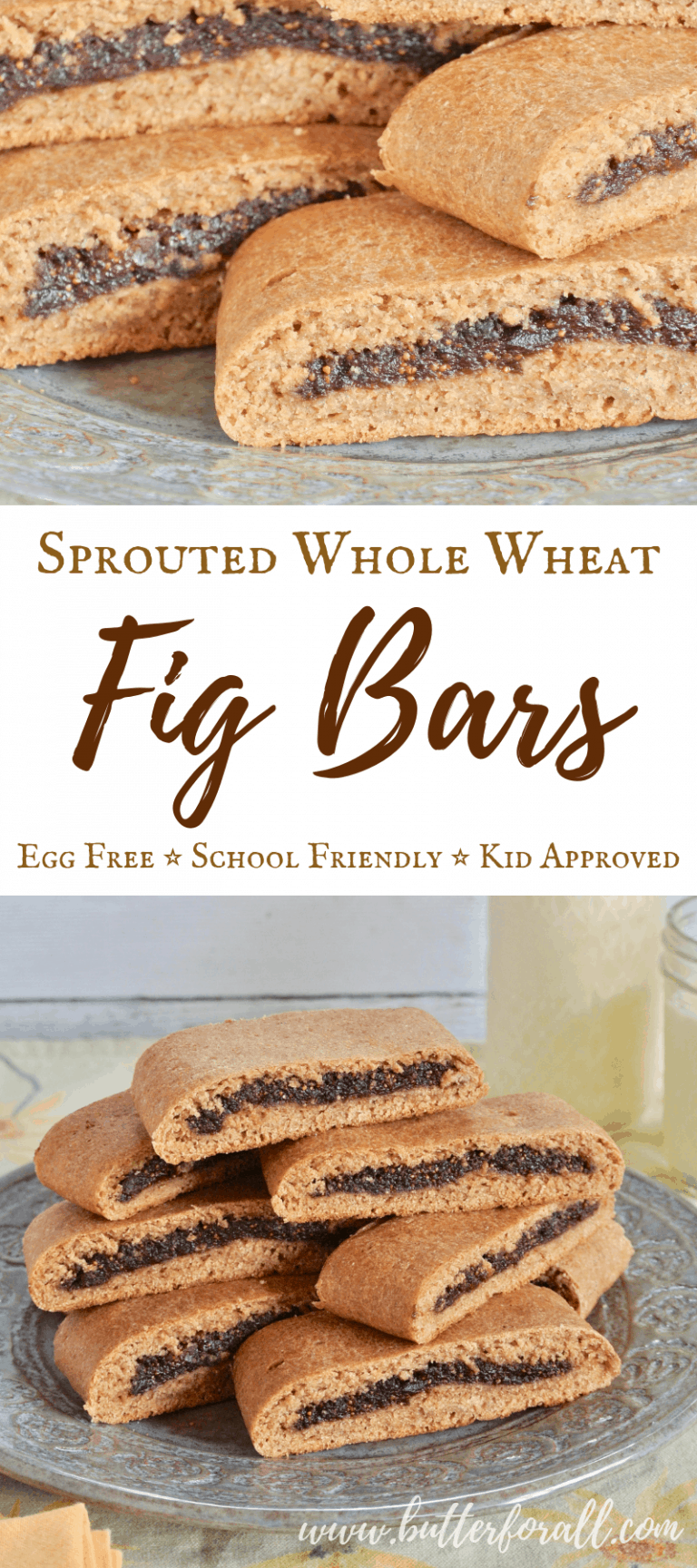 Sprouted Whole Wheat Fig Bars – Egg Free, School Friendly, and Kid ...