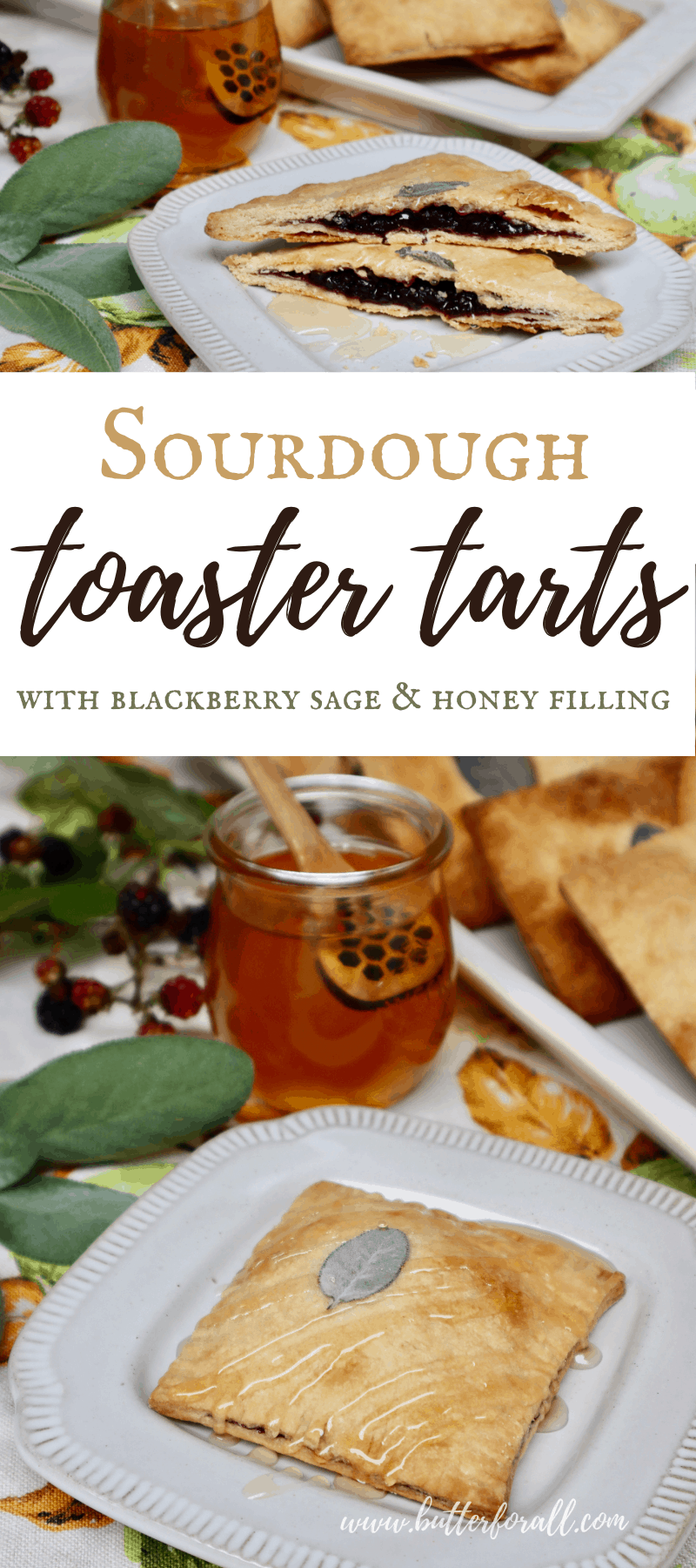 Sourdough Toaster Tarts With Blackberry, Sage, and Honey Filling ...