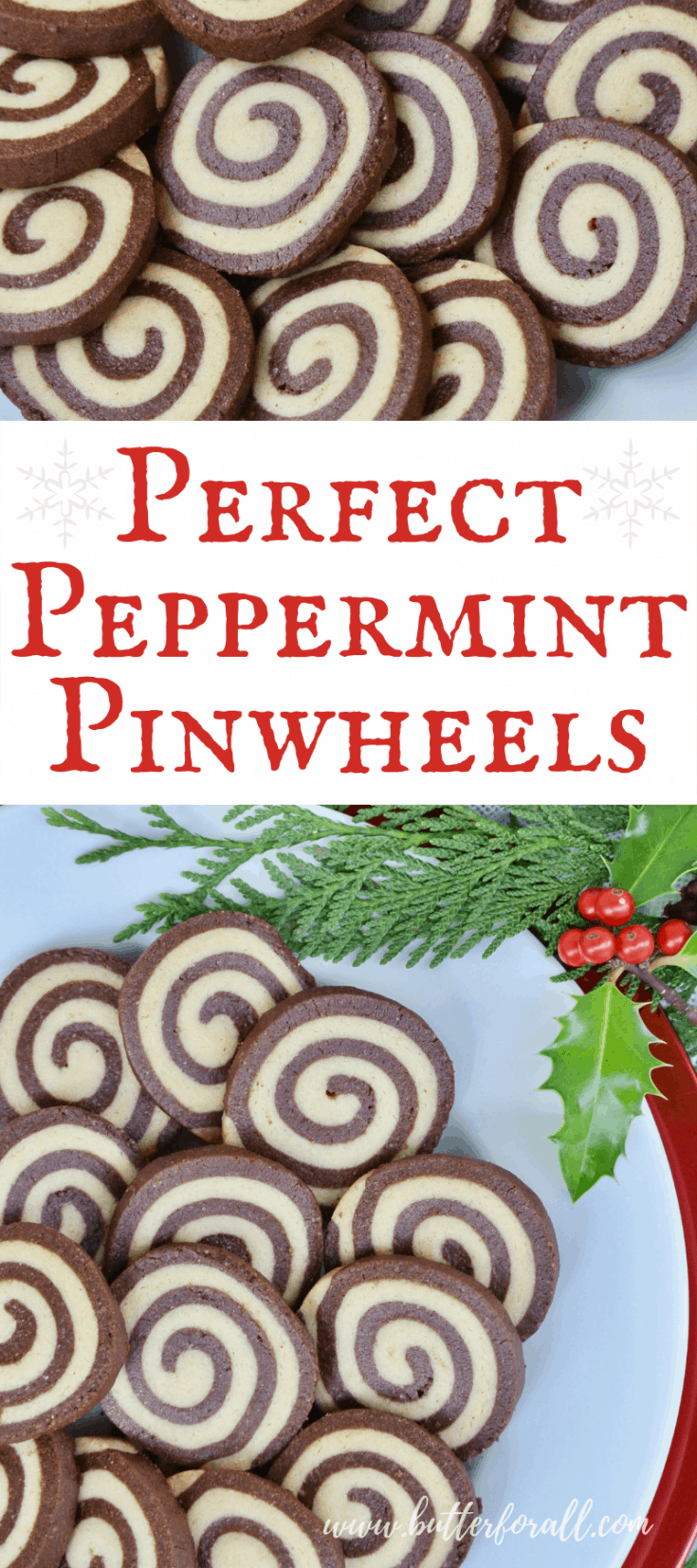 Perfect Peppermint Pinwheel Cookies • Butter For All