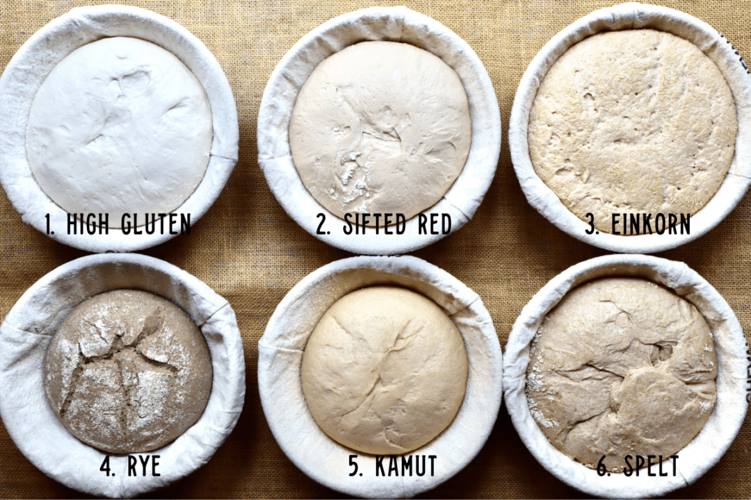 Butter For All's Sourdough Master Recipe • Butter For All