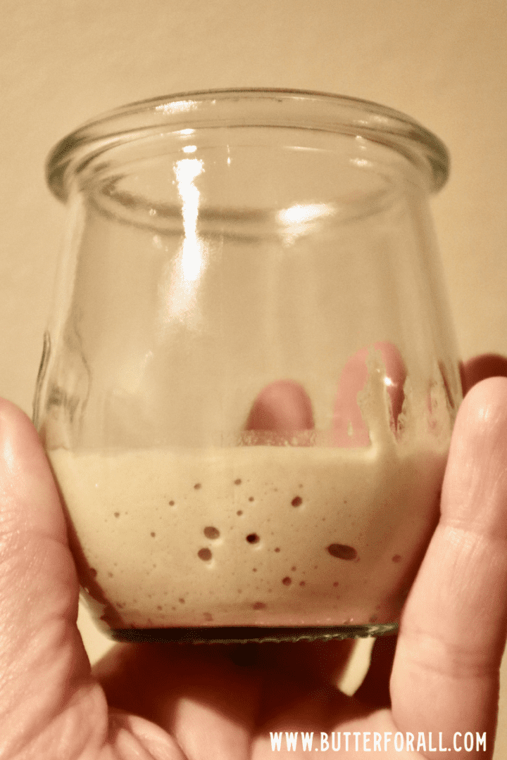 Reviving Dehydrated Sourdough Starter – A Step-by-Step Guide • Butter ...