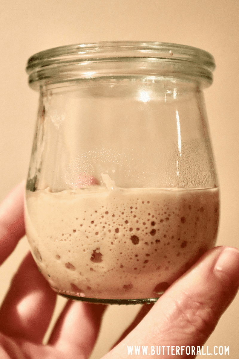 Reviving Dehydrated Sourdough Starter – A Step-by-Step Guide • Butter For All
