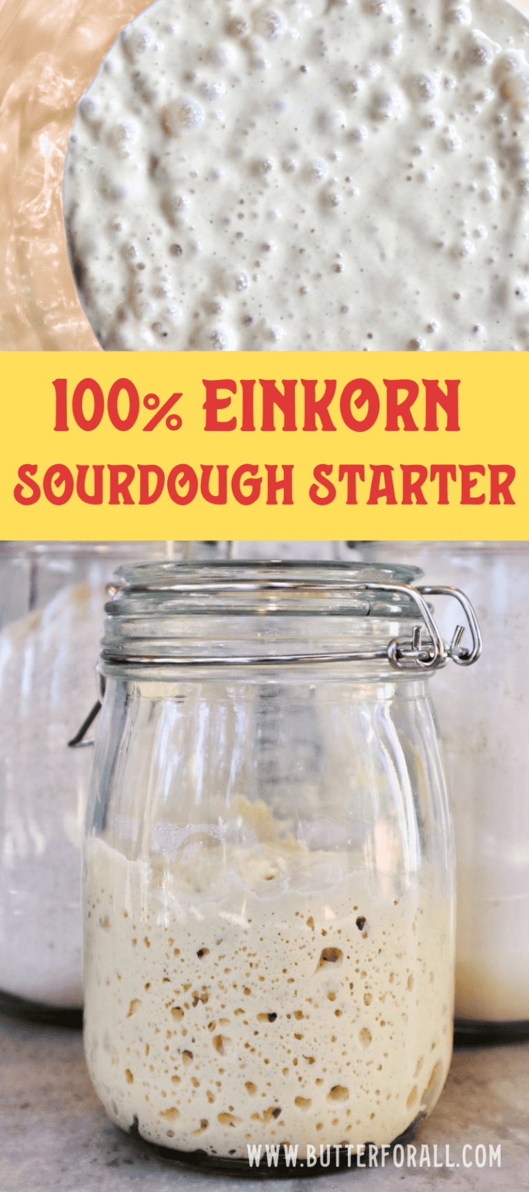 Starting an Einkorn Sourdough Starter • Butter For All