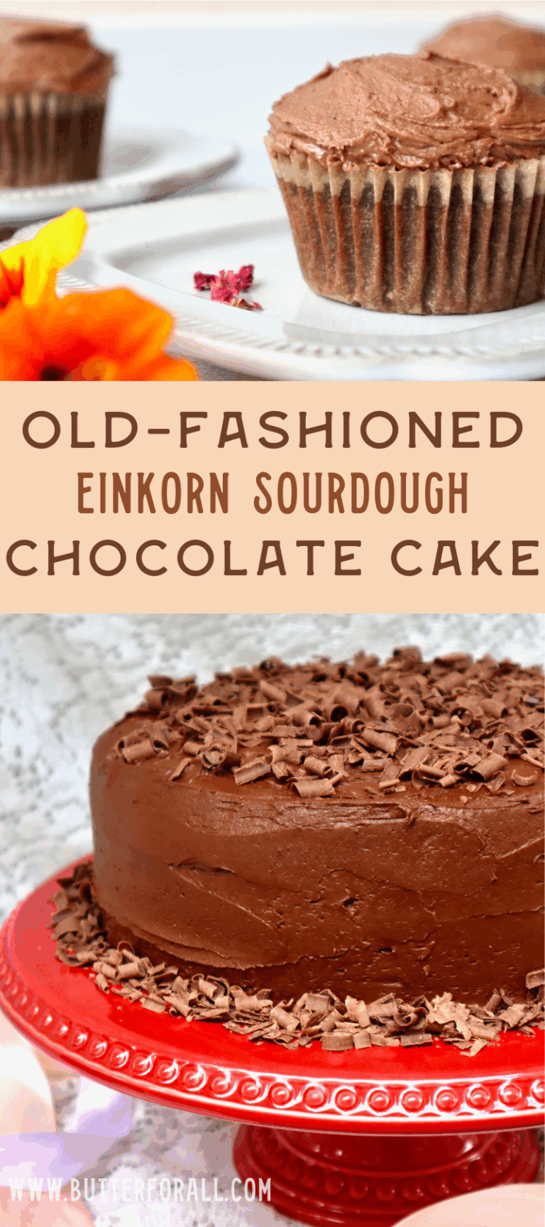 Old-Fashioned Einkorn Sourdough Chocolate Cake • Butter For All